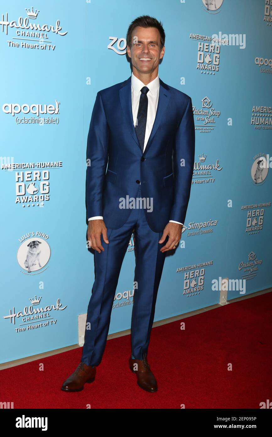 Cameron Mathison at the 9th Annual American Humane Hero Dog Awards at ...