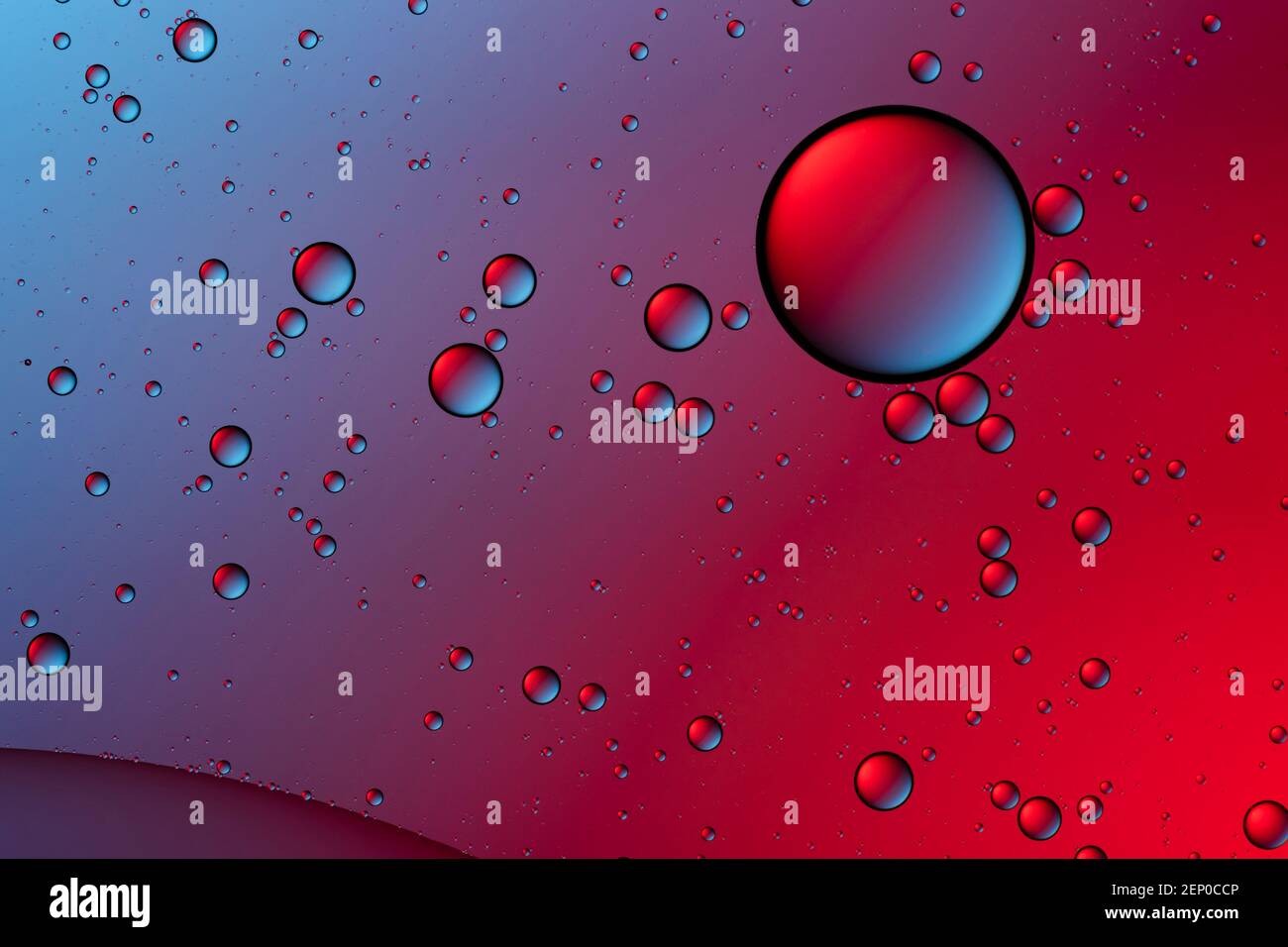 Water Bubbles Red Background Pink Foam Water Bubbles Background