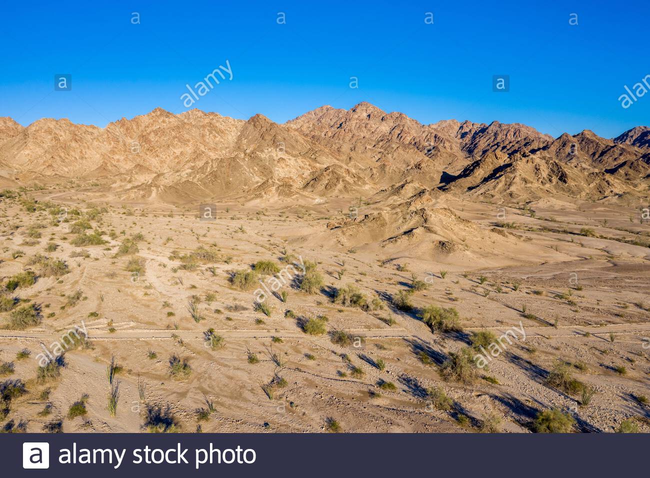 Desert Shrubland High Resolution Stock Photography and Images - Alamy