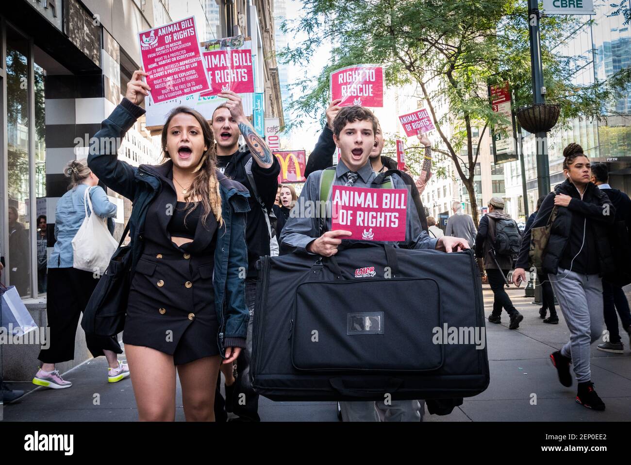 Animal rights activists from "Direct Action Everywhere New York City ...