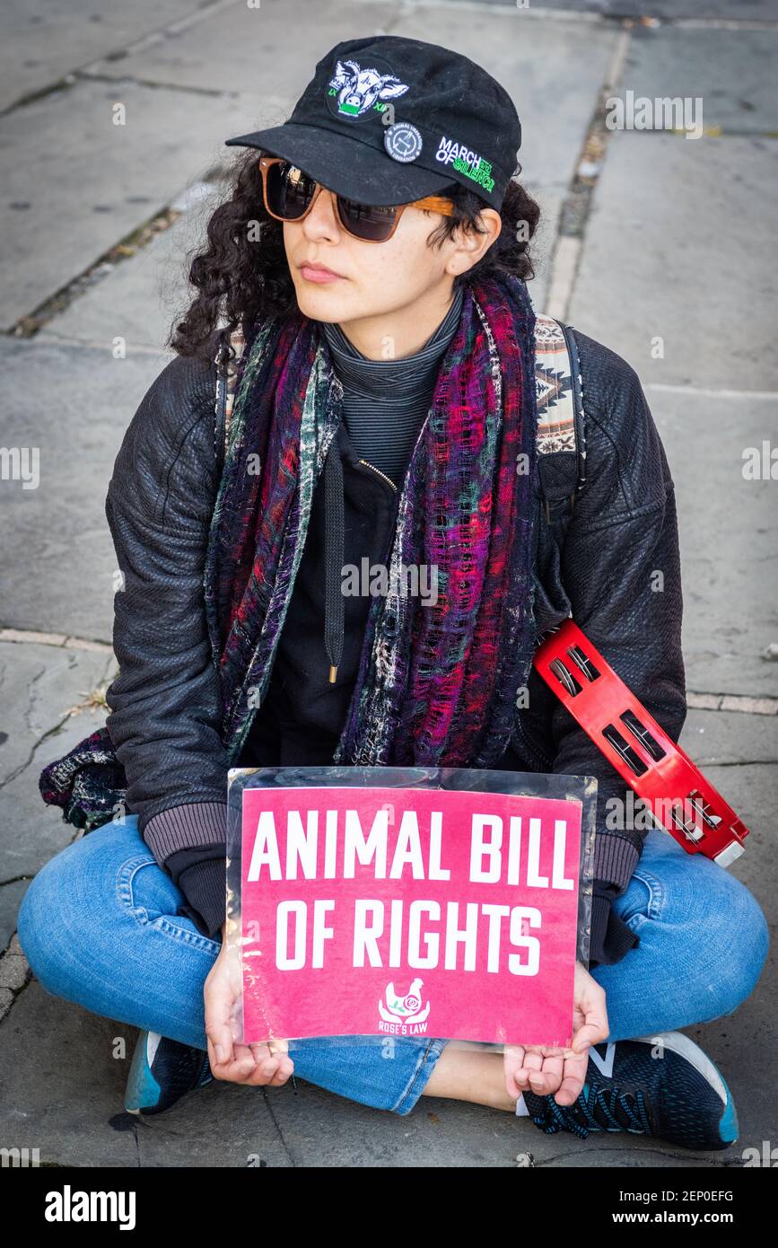 An animal rights activists from "Direct Action Everywhere New York City ...