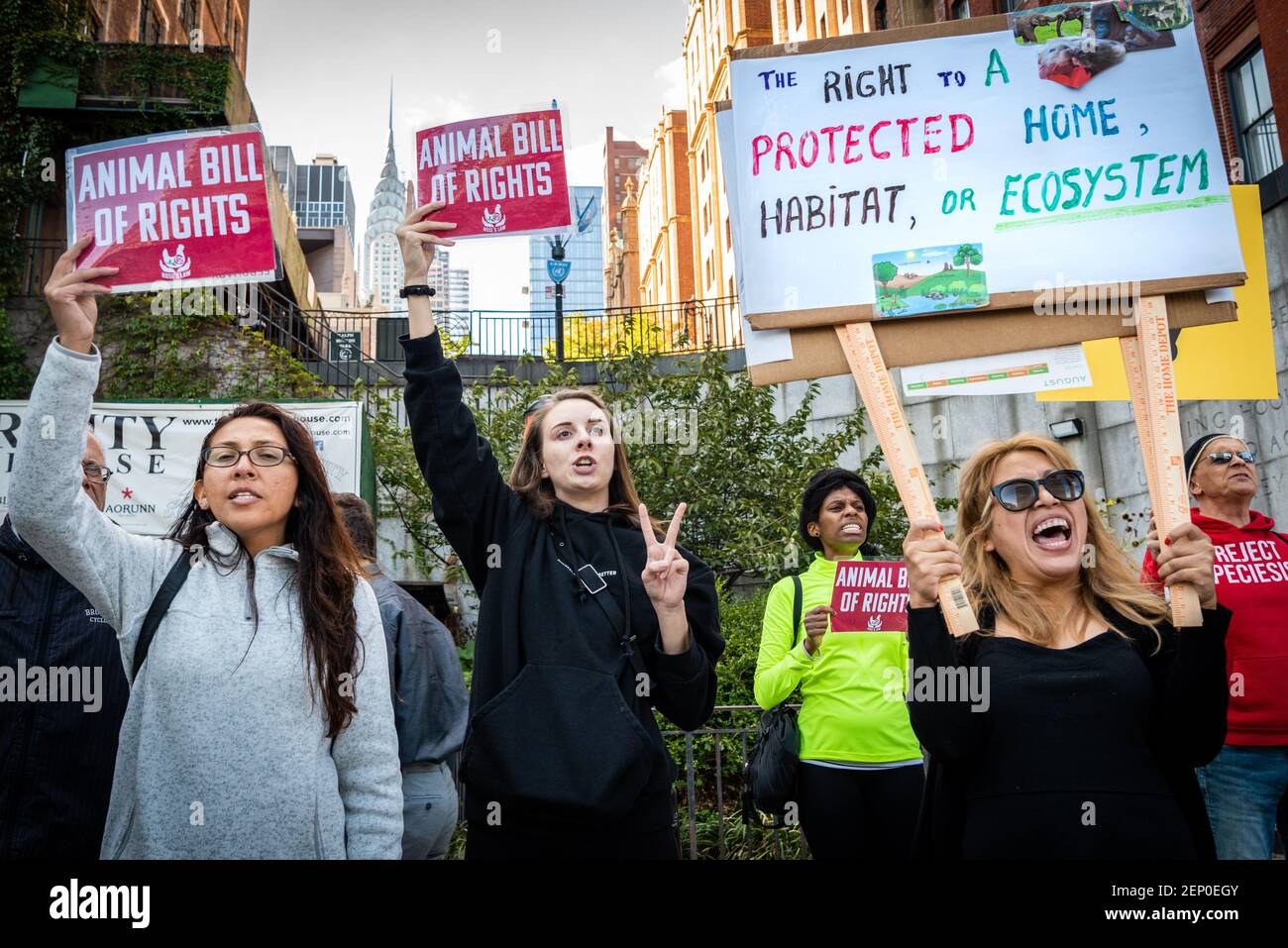 Animal rights activists from "Direct Action Everywhere New York City ...