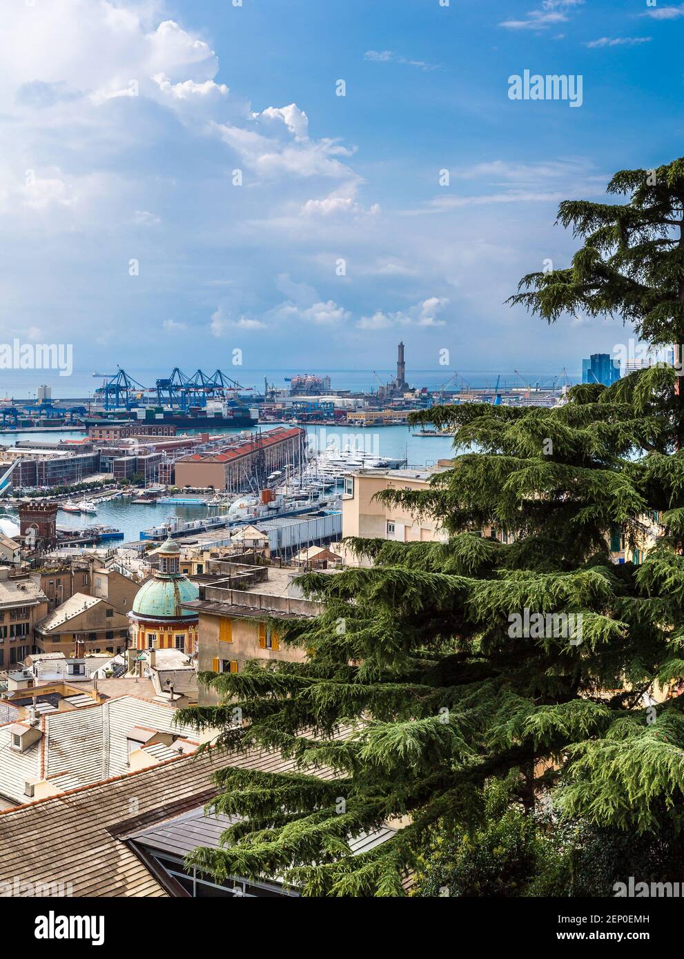 Panoramic view port of Genoa in a summer day, Italy Stock Photo - Alamy