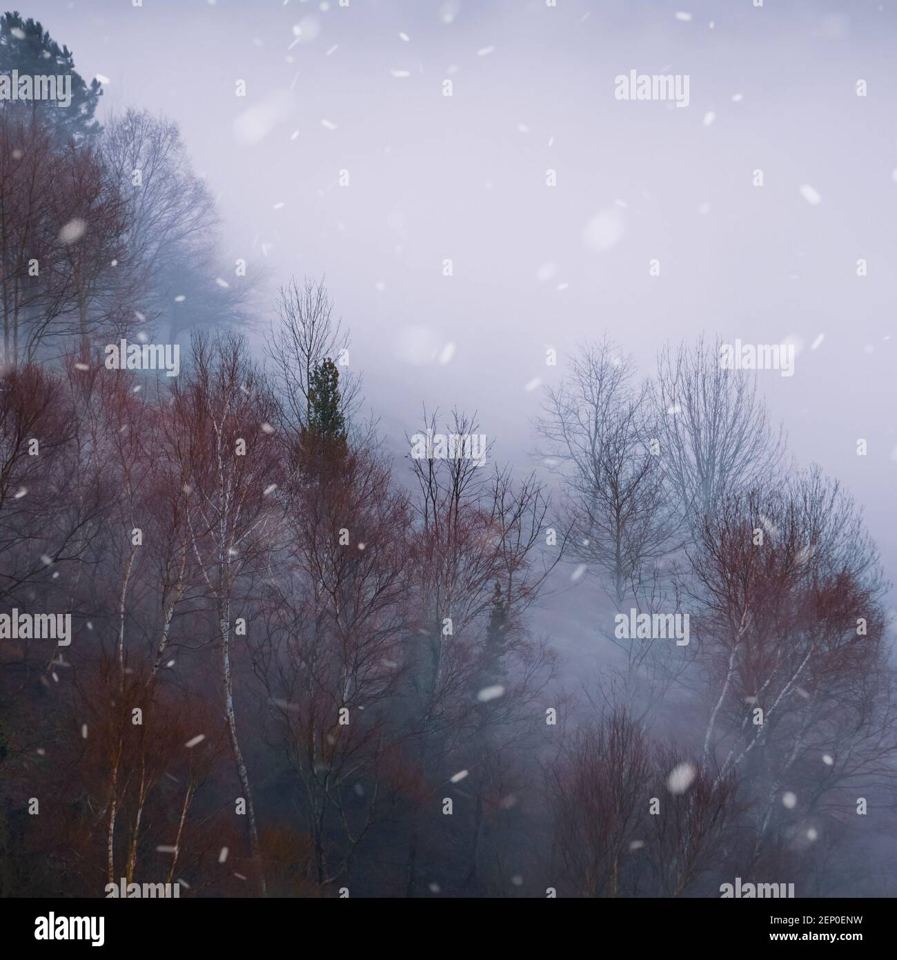 Bilbao weather hi-res stock photography and images - Alamy