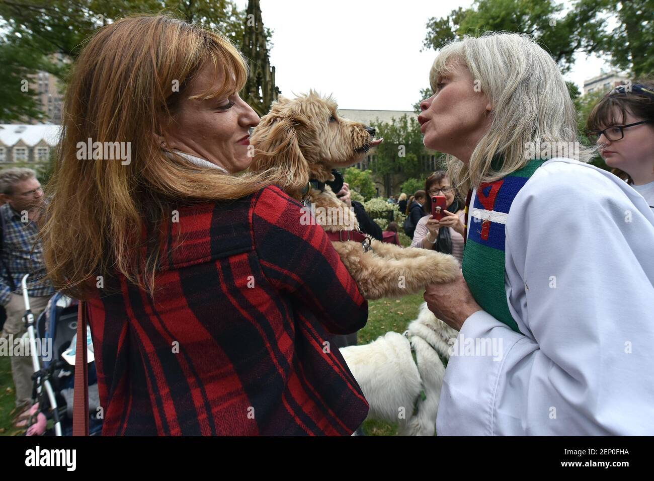Rev. Canon Patti Welsh blesses a Golden Retriever-poodle mix named ...