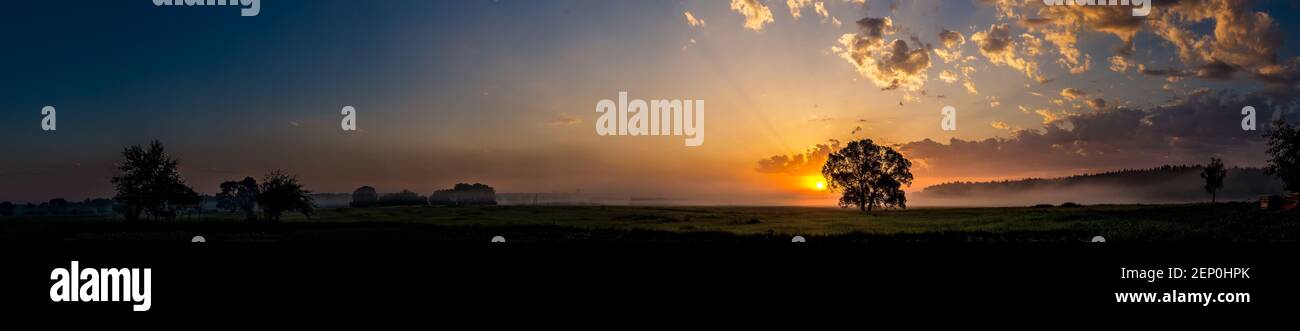Beautiful sunrise over green field and single tree in a summer morning ...