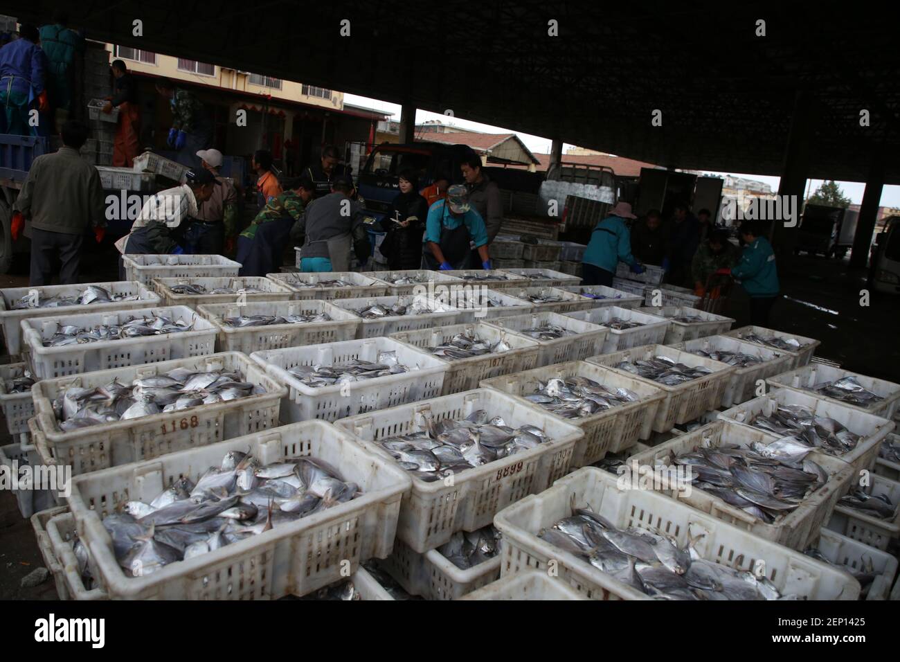 Fishermen categorize numerous seafoods in order and wait for consumers ...