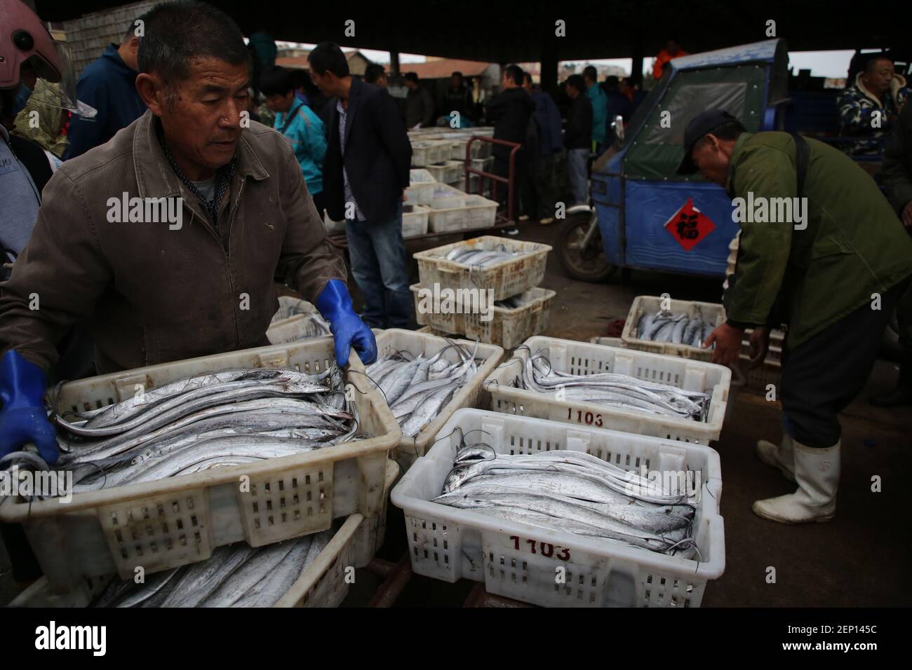 Fishermen categorize numerous seafoods in order and wait for consumers ...