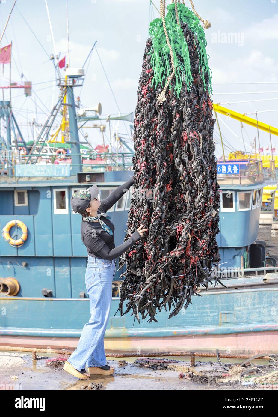 Fishing boats stop at Lanshan fishing port after catching enough ...