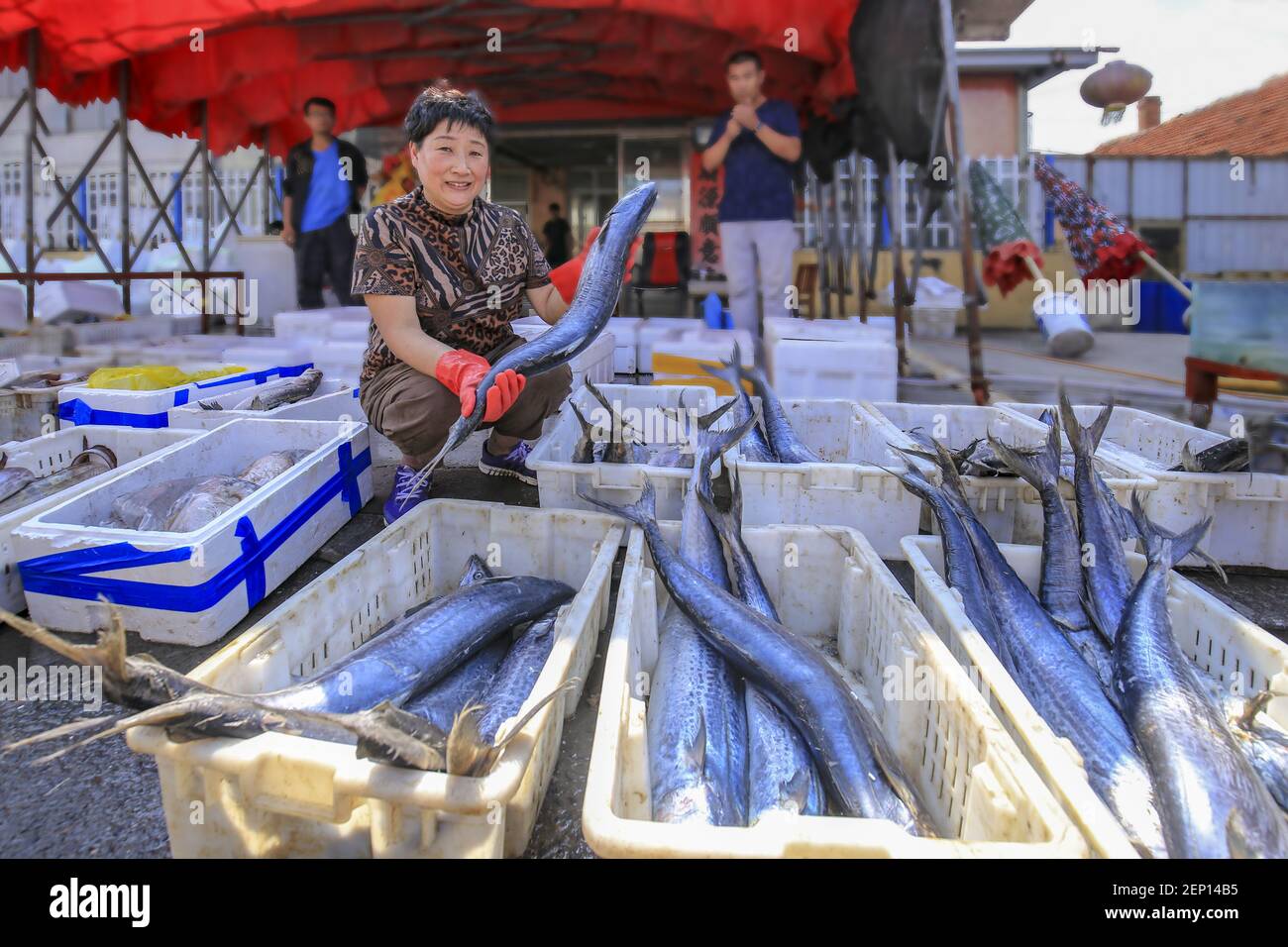 Fishermen categorize numerous seafoods in order and wait for consumers ...