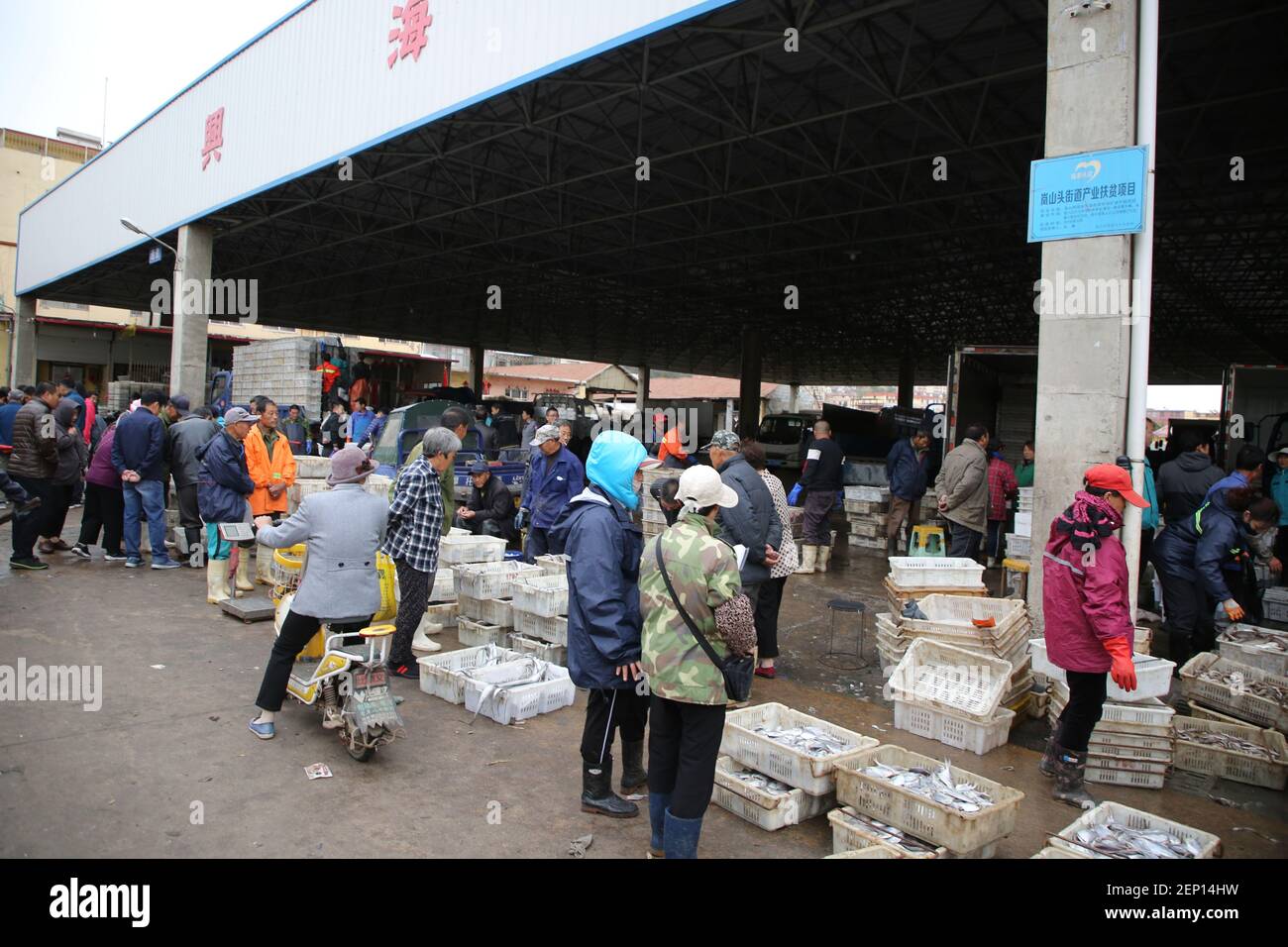 Fishermen categorize numerous seafoods in order and wait for consumers ...