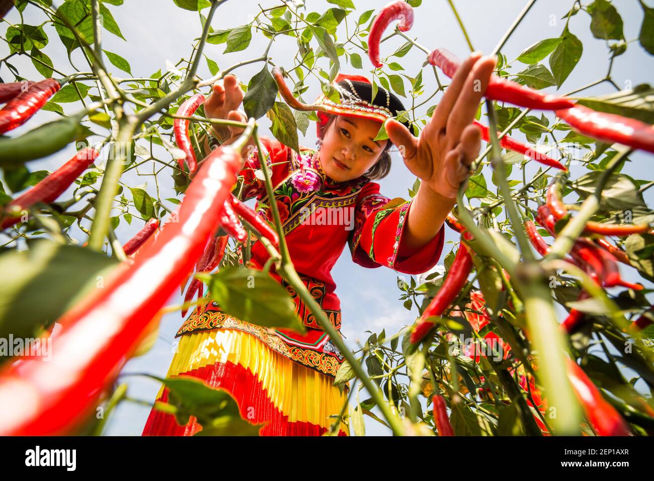 A young Chinese villager dressed in traditional costume of Yi ethnic ...