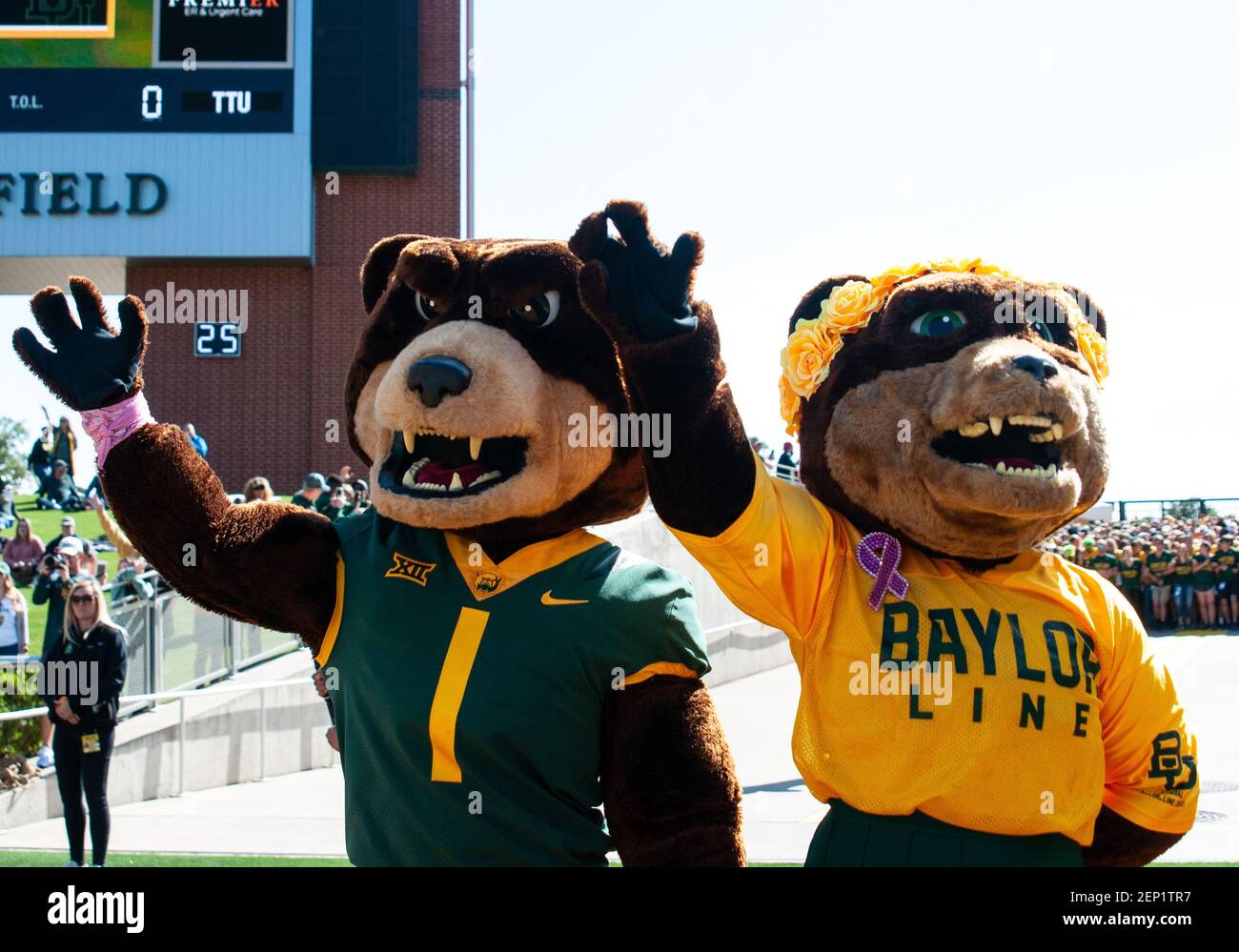 October 12 2019: Baylor Bears mascots Bruiser and Marigold before the ...