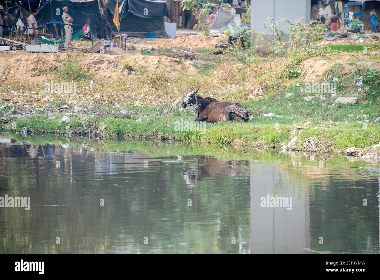 King Willem-Alexander and Queen Maxima of the Netherlands visit ...