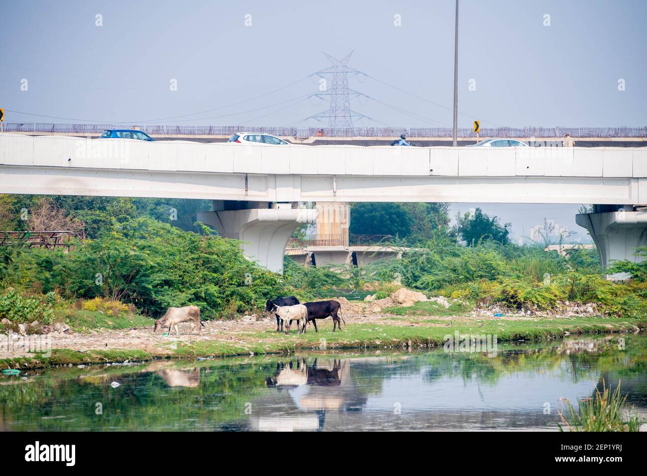 King Willem-Alexander and Queen Maxima of the Netherlands visit ...