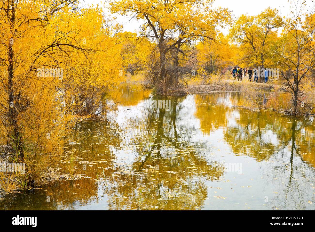 Gansuï¼ŒCHINA-On October 13, 2019, a number of tourists watched the ...