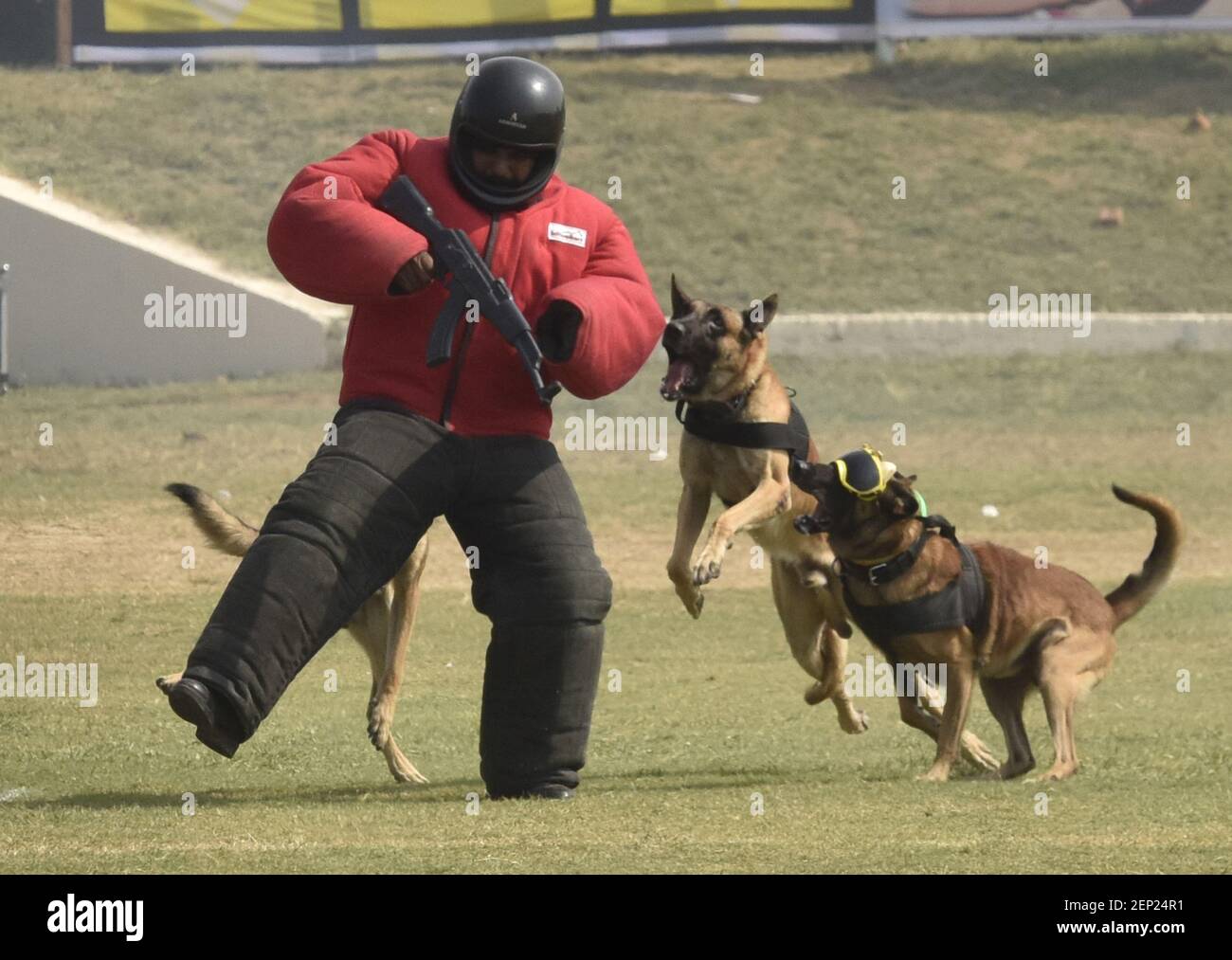 GURUGRAM, INDIA - OCTOBER 15: NSG Commandos perform a drill using the ...