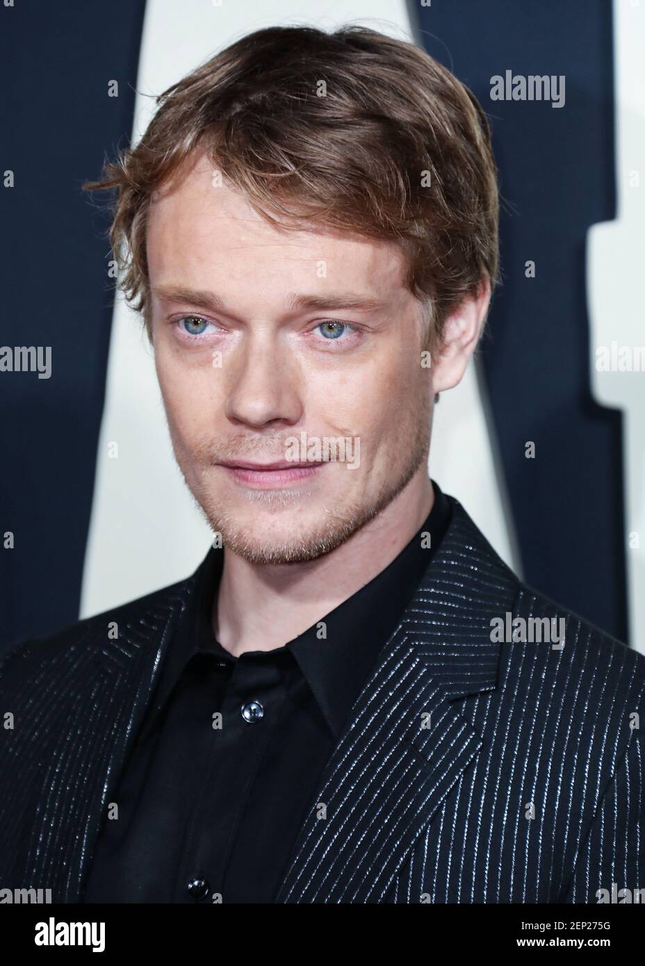 Allan David Fox Actor