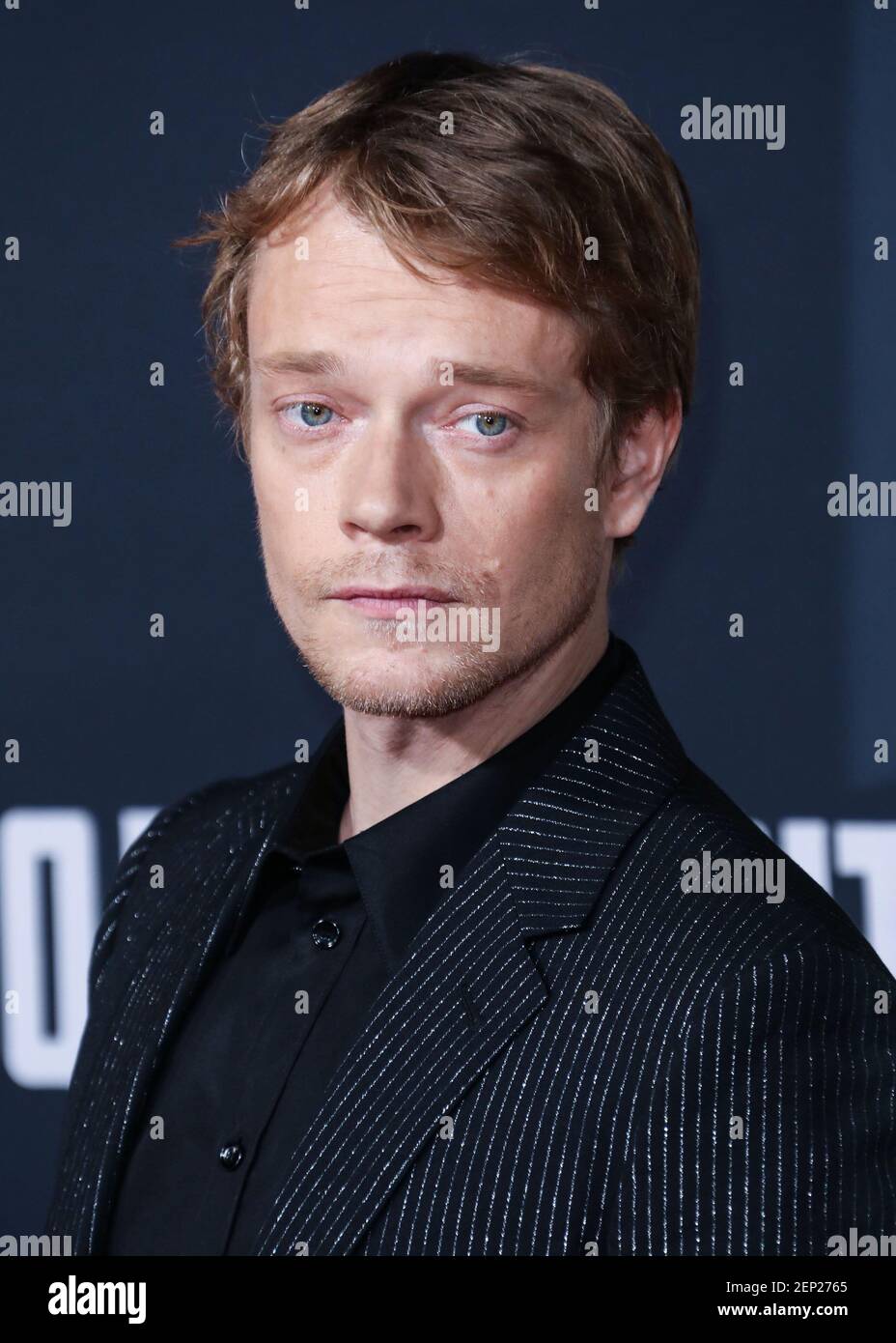 Allan David Fox Actor