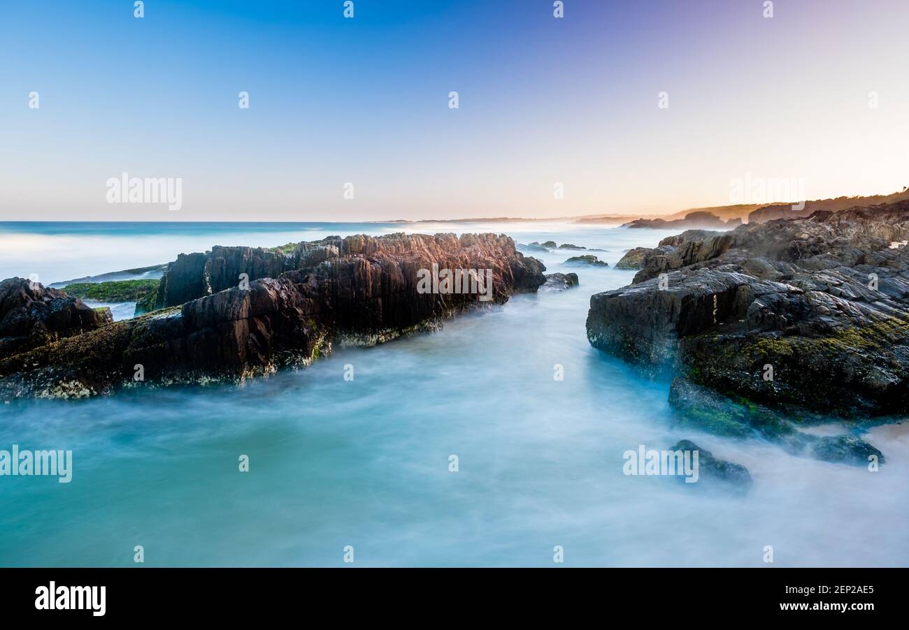 Bingle High Resolution Stock Photography and Images - Alamy