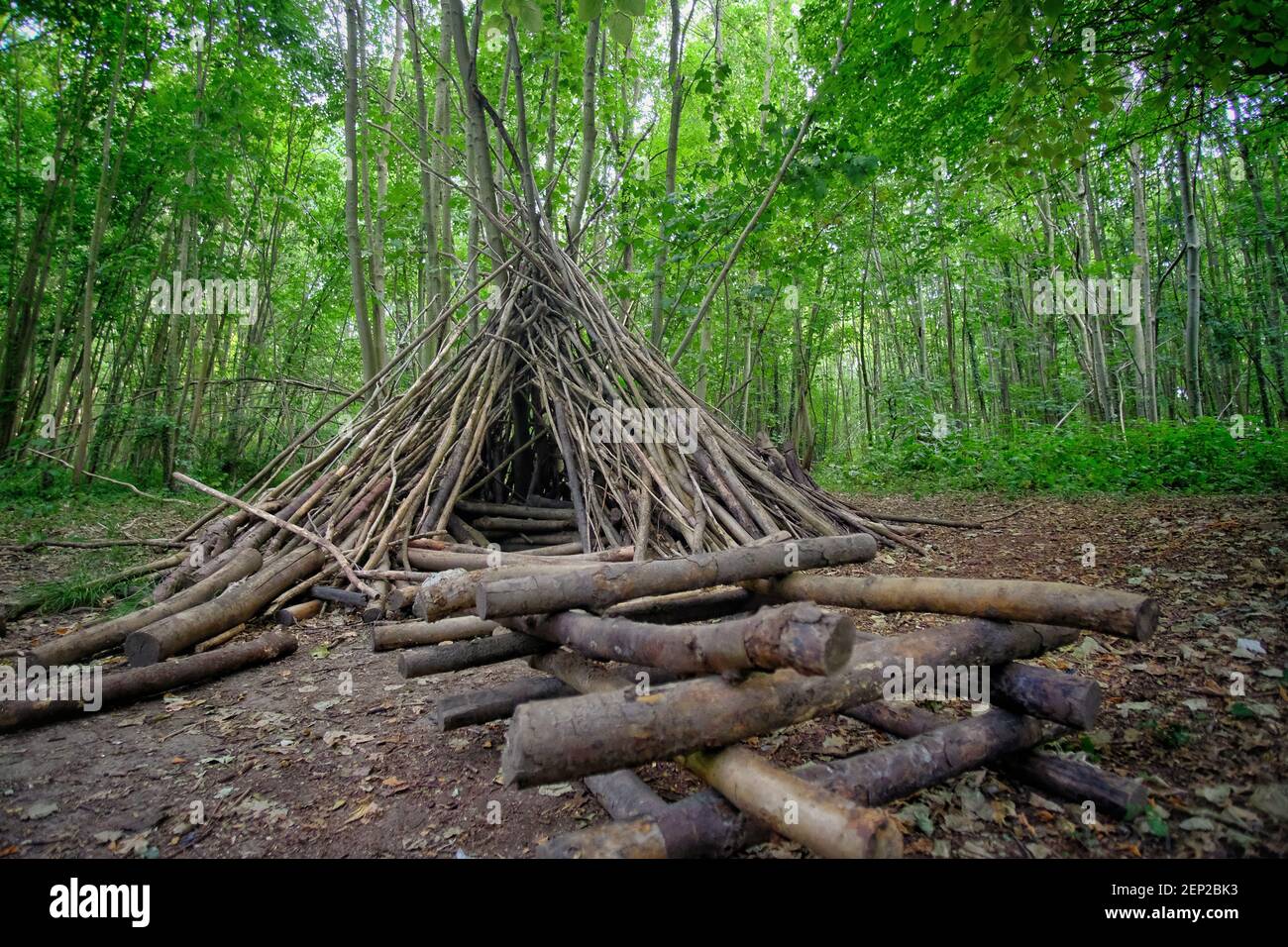 Forestry hut hi-res stock photography and images - Alamy