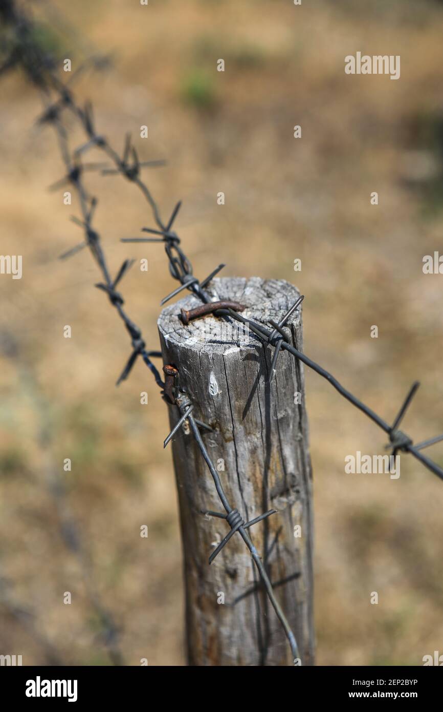 Old barbed wire on pole hi-res stock photography and images - Alamy