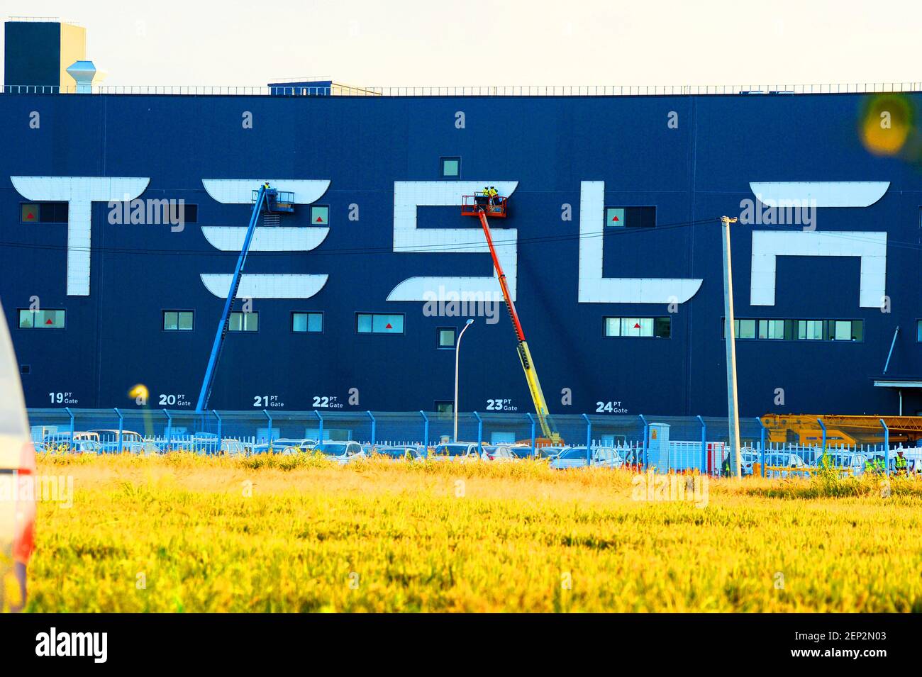 Construction workers put up the "Tesla" logo on the outside wall of ...