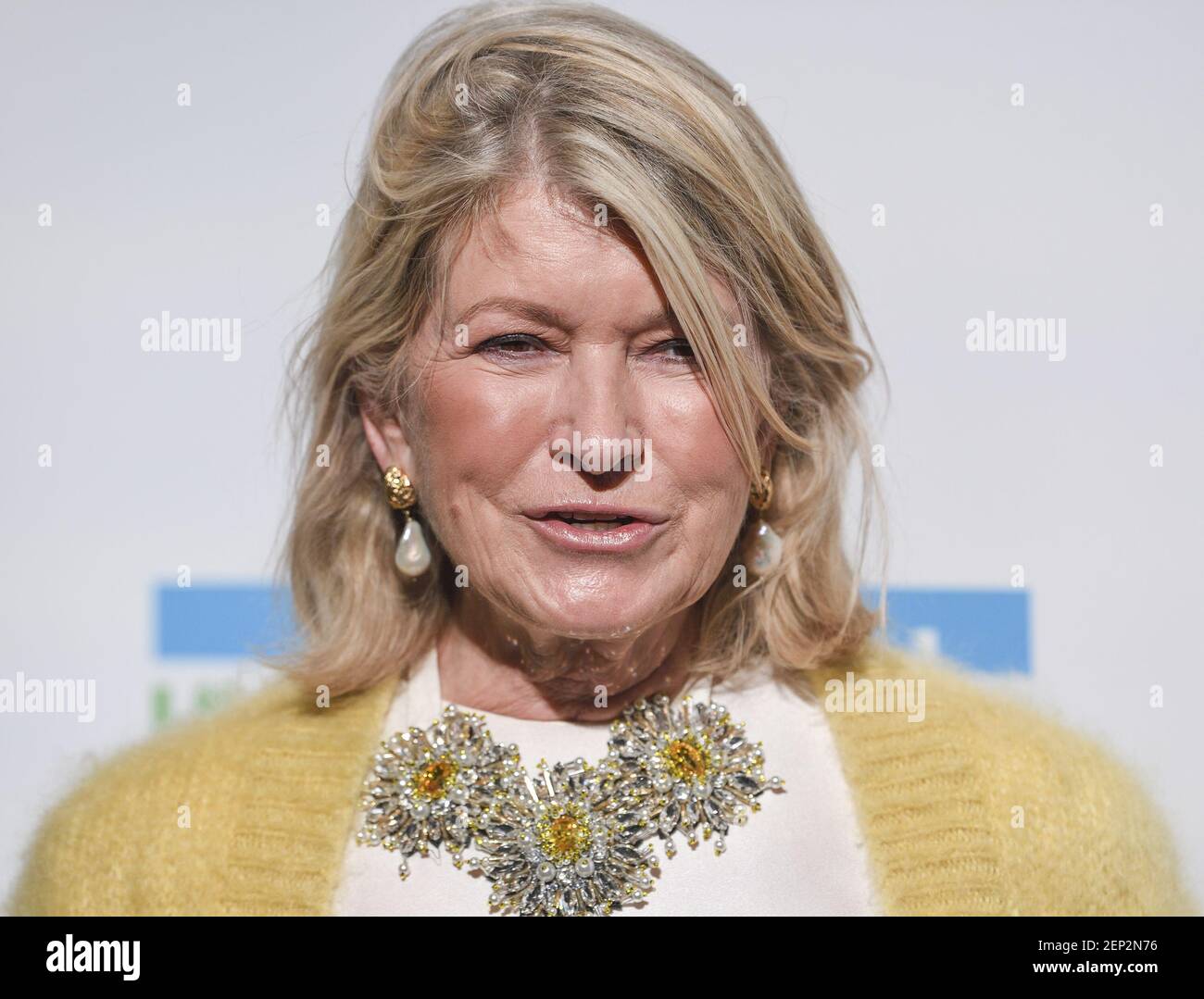 Martha Stewart attends Hudson River Park Gala at Cipriani South Street ...