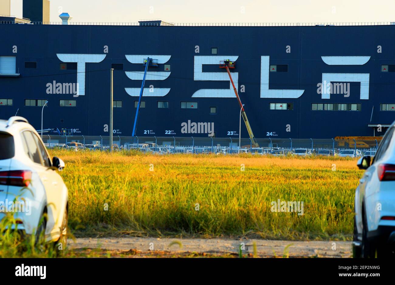 Chinese workers install the logo of TESLA on the facade of the Tesla ...