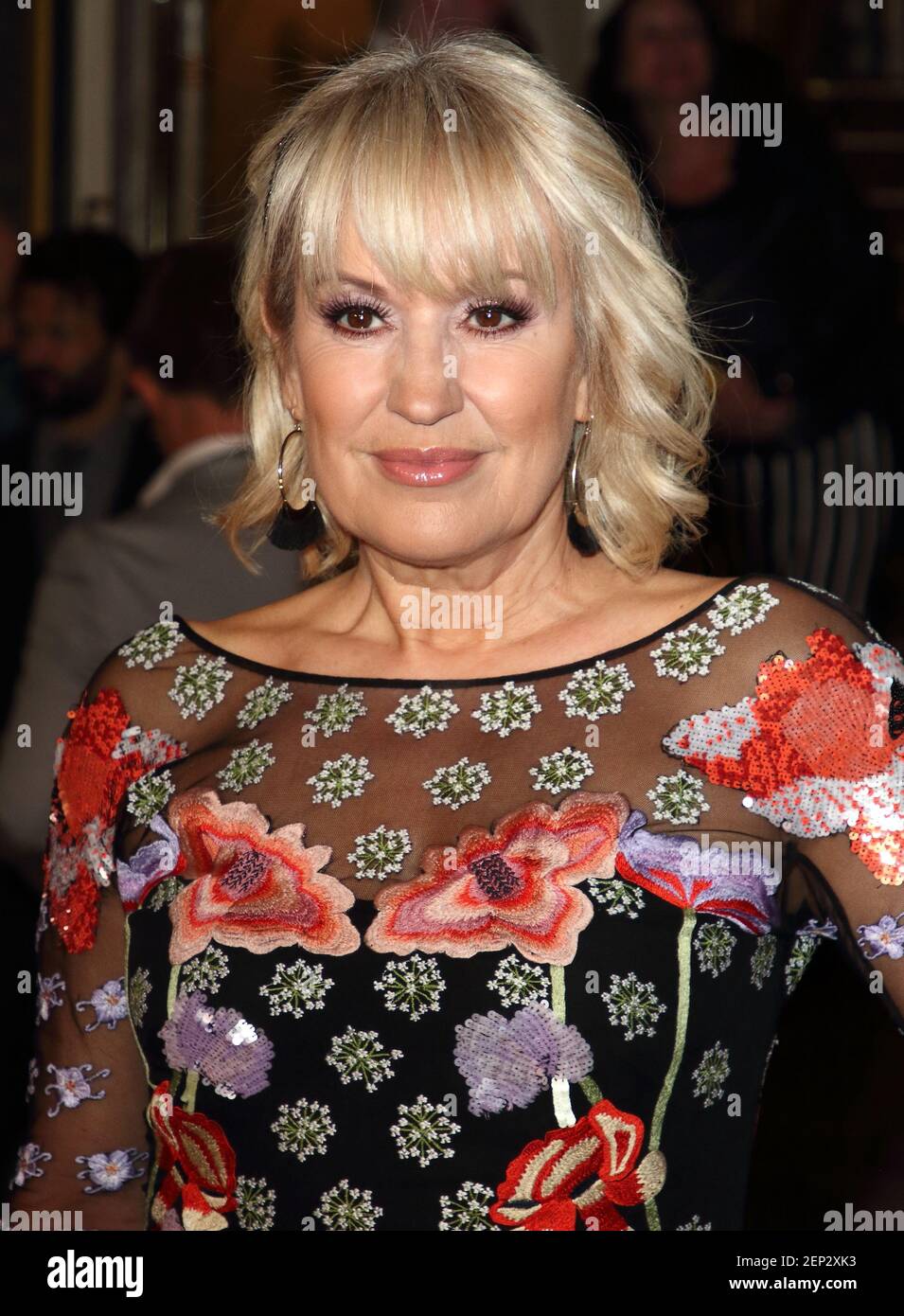 Nicki Chapman on the red carpet during The Lion King 20th Anniversary ...
