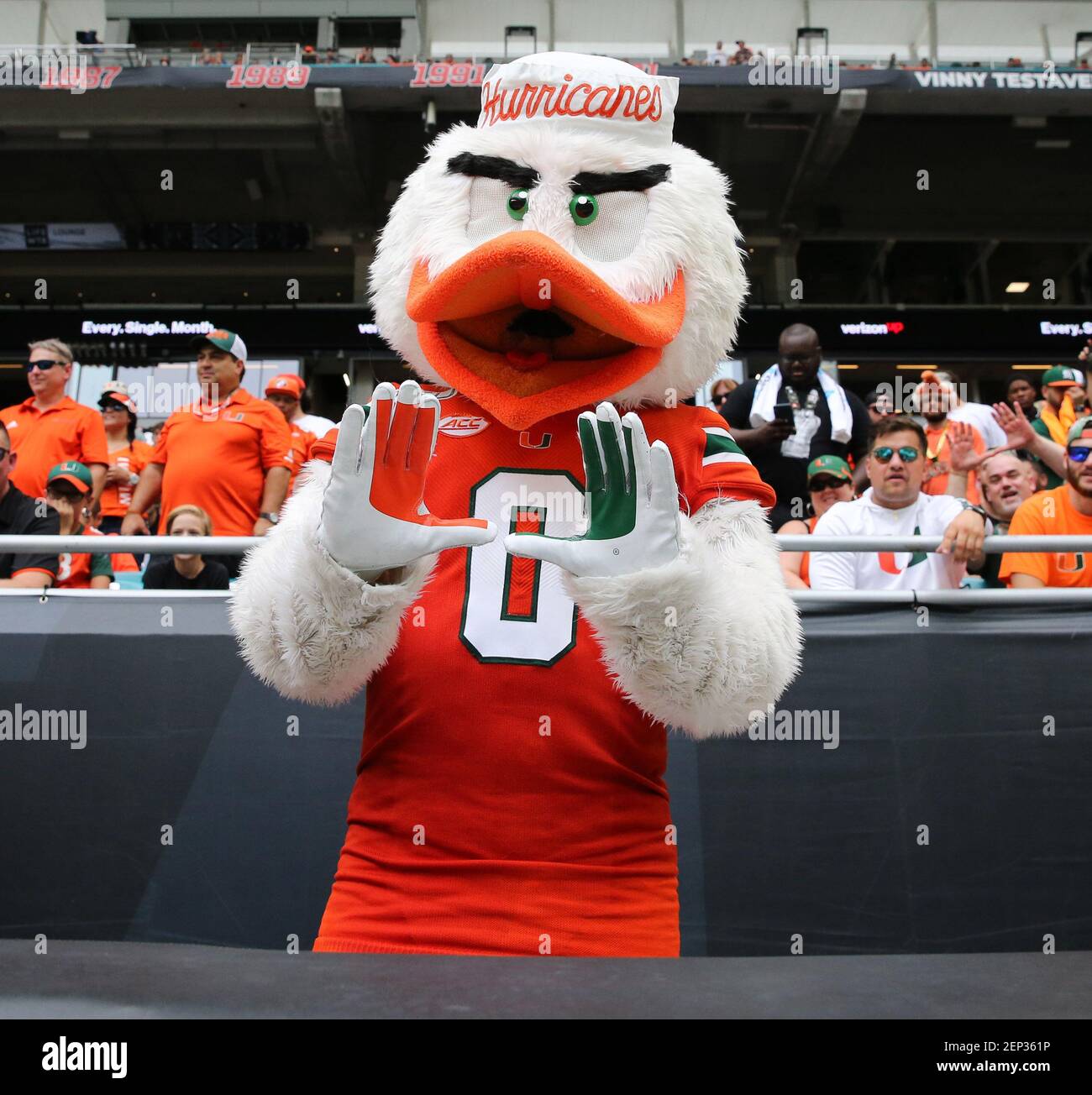 October 19, 2019: Sebastian the Ibis, the official mascot for the University of Miami, poses for ...