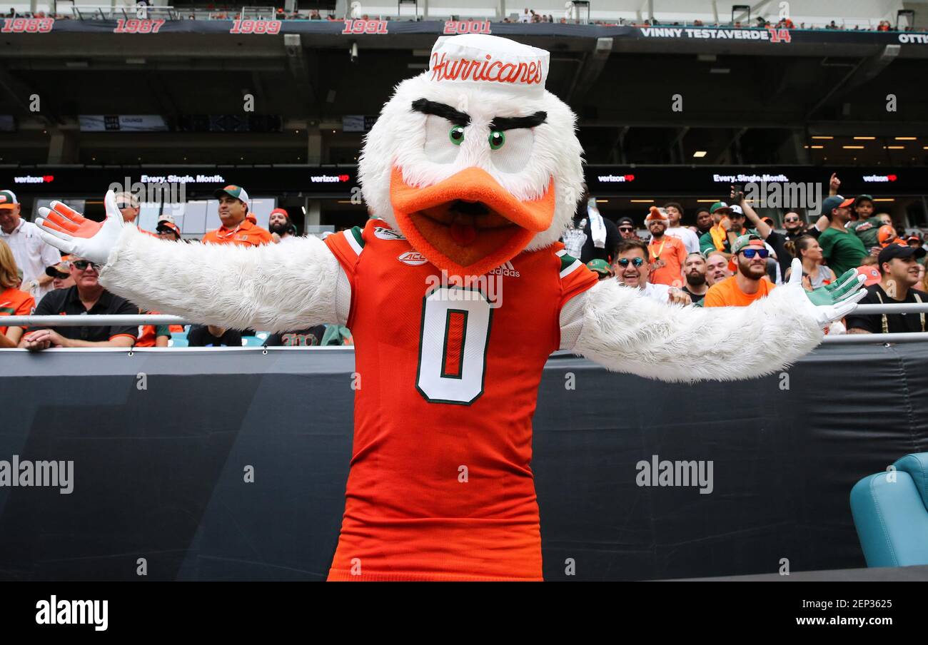 Um mascot sebastian the ibis hi-res stock photography and images - Alamy