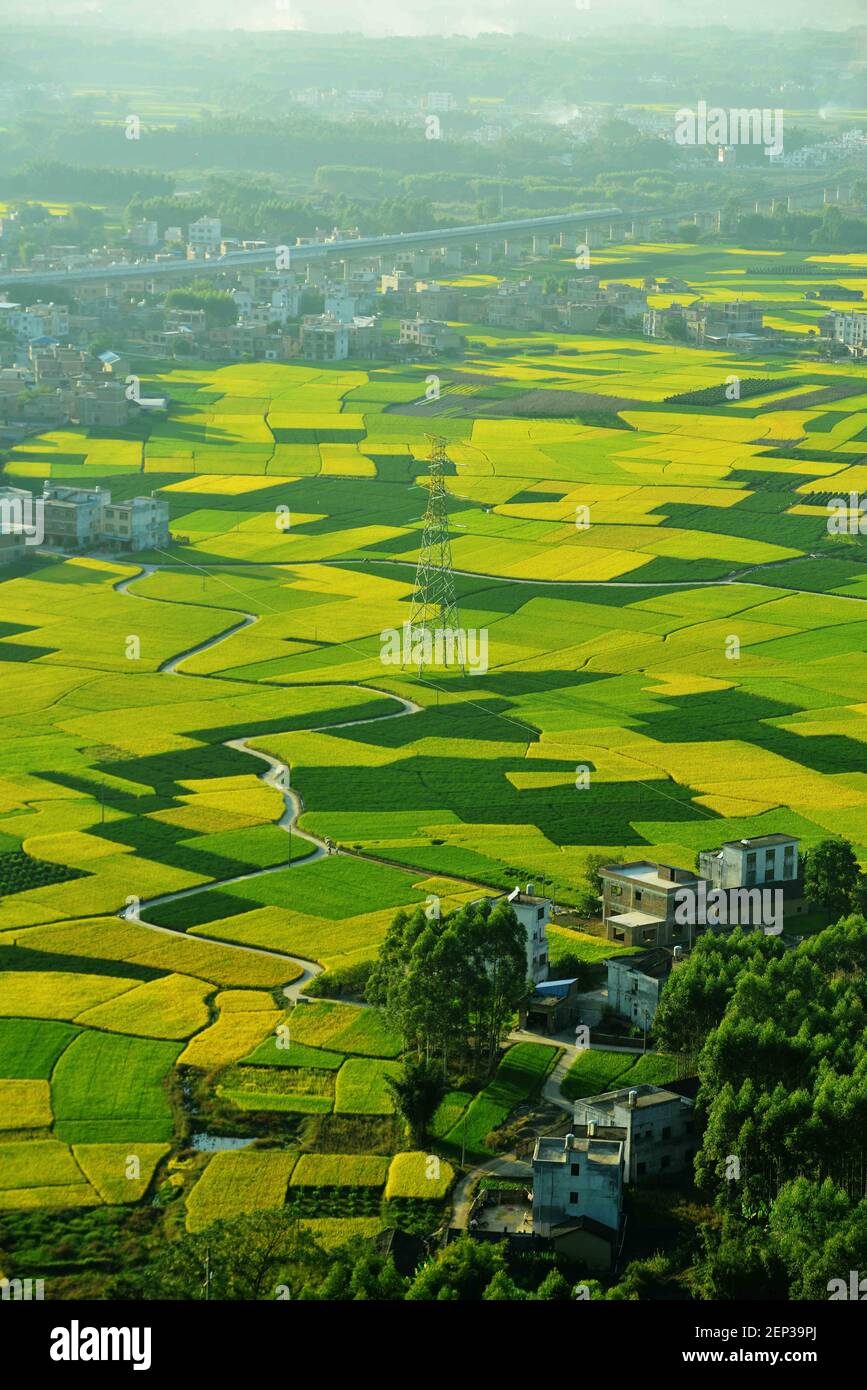 An aerial view of a high-speed train running among 150 thousand acres ...