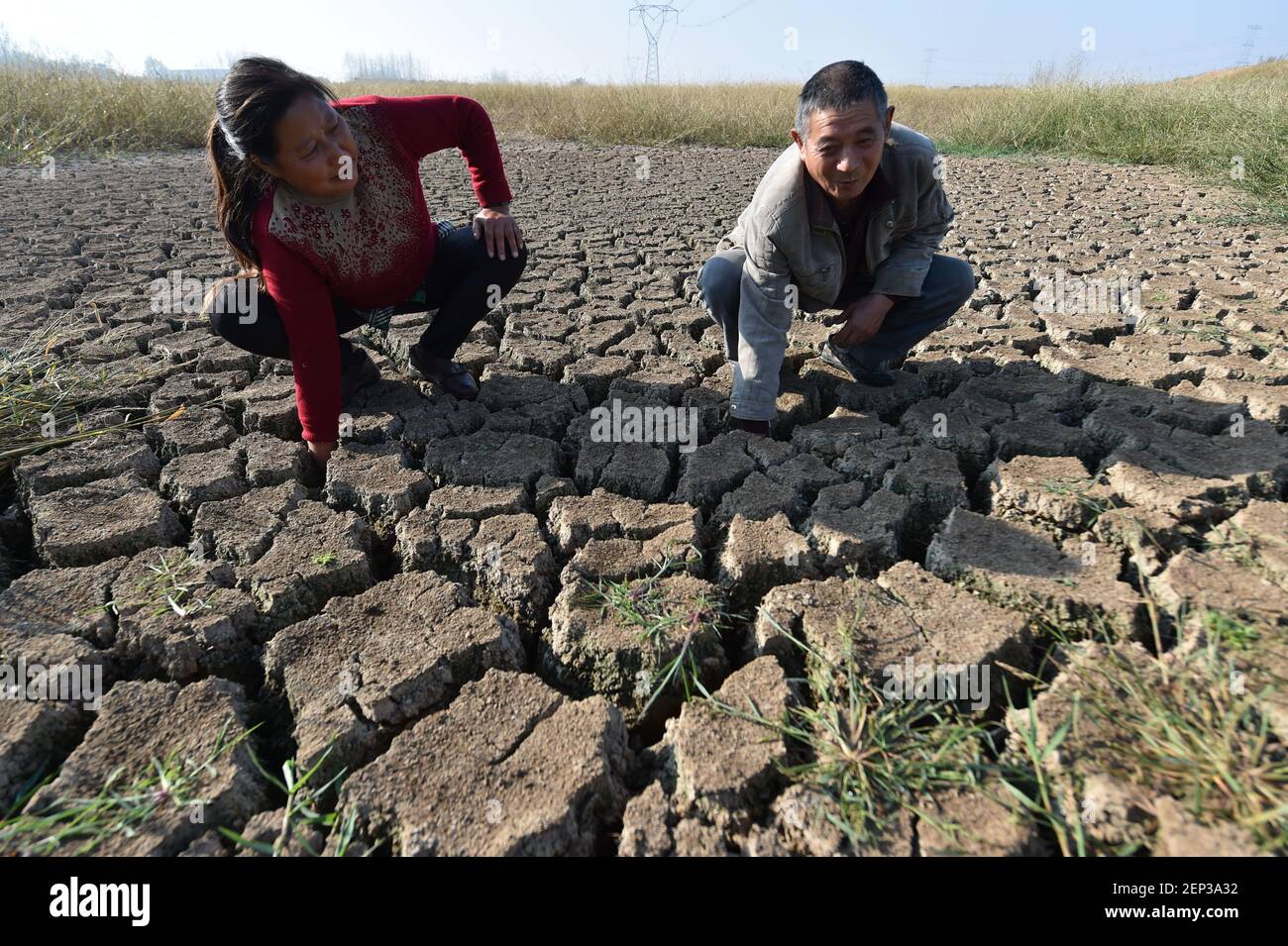 Farmers worry about yield this year as crops die due to heavy drought ...
