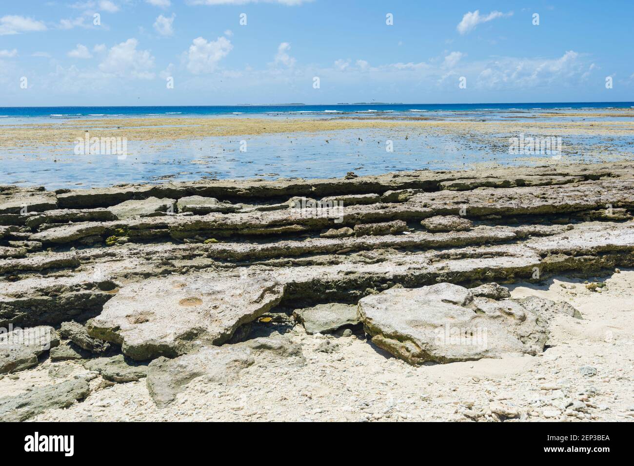 Bunker group hi-res stock photography and images - Alamy