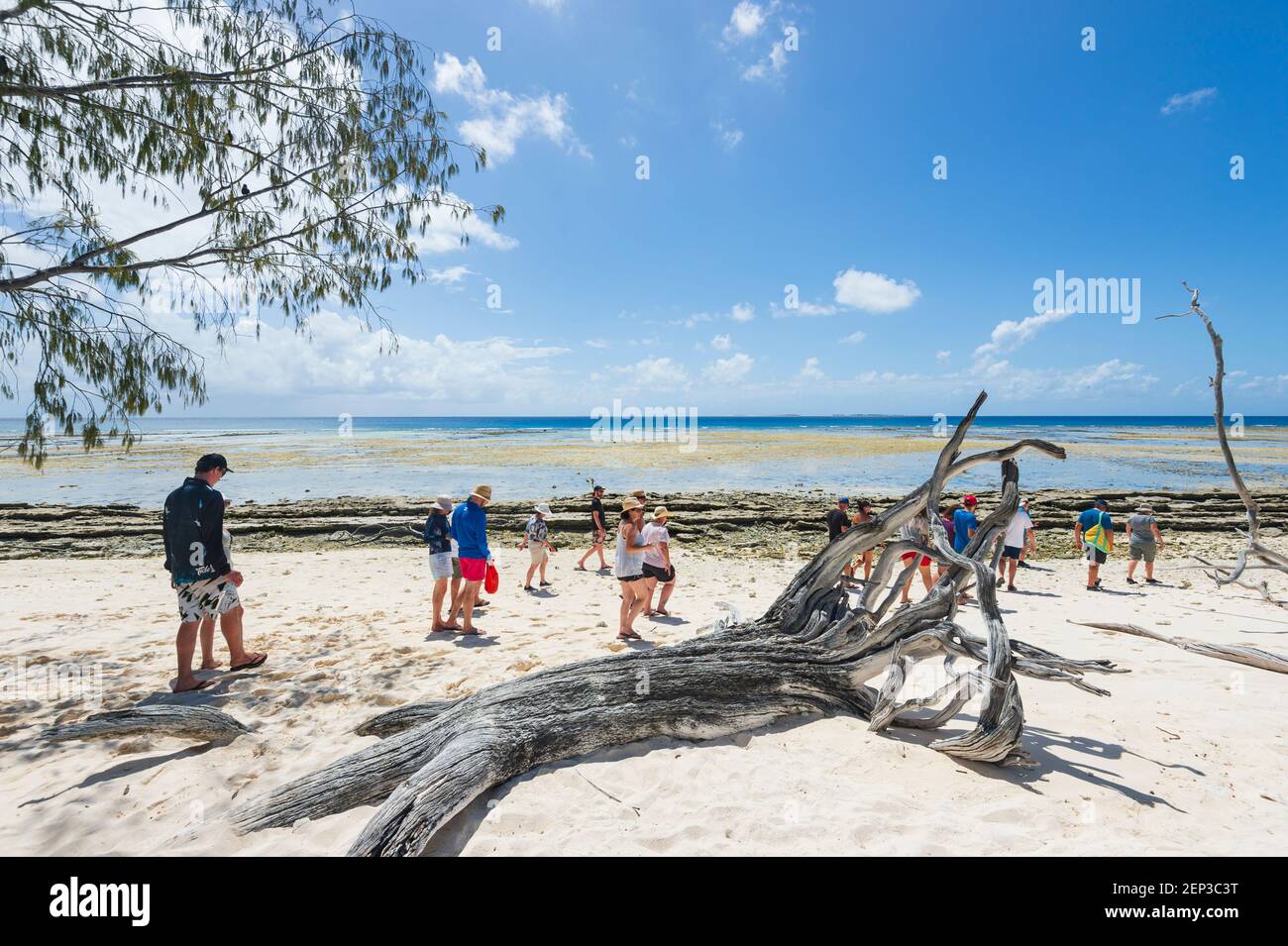 Tourists on a day trip to Lady Musgrave Island walking on the beach ...