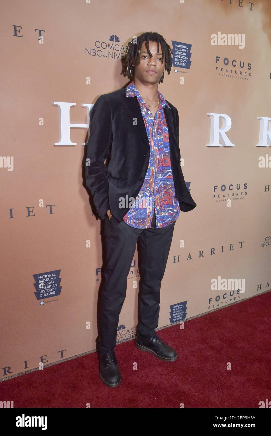 Actor Henry Hunter Hall attends the DC Premiere of Focus Features' and ...