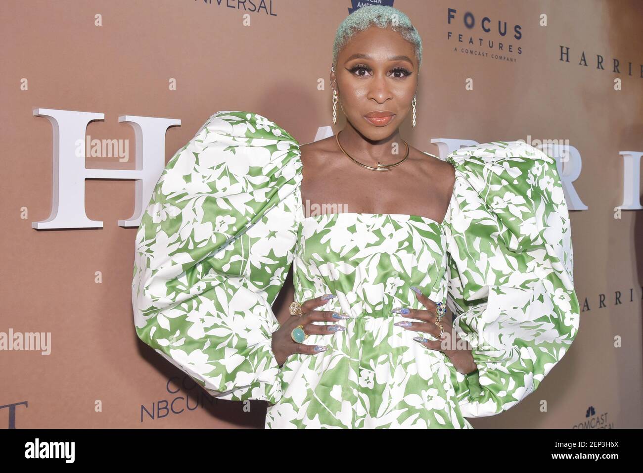Actress Cynthia Erivo attends the DC Premiere of Focus Features' and ...