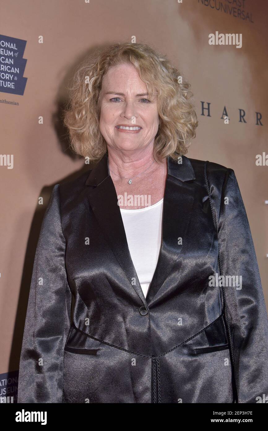 Author Kate Larson attends the DC Premiere of Focus Features' and ...