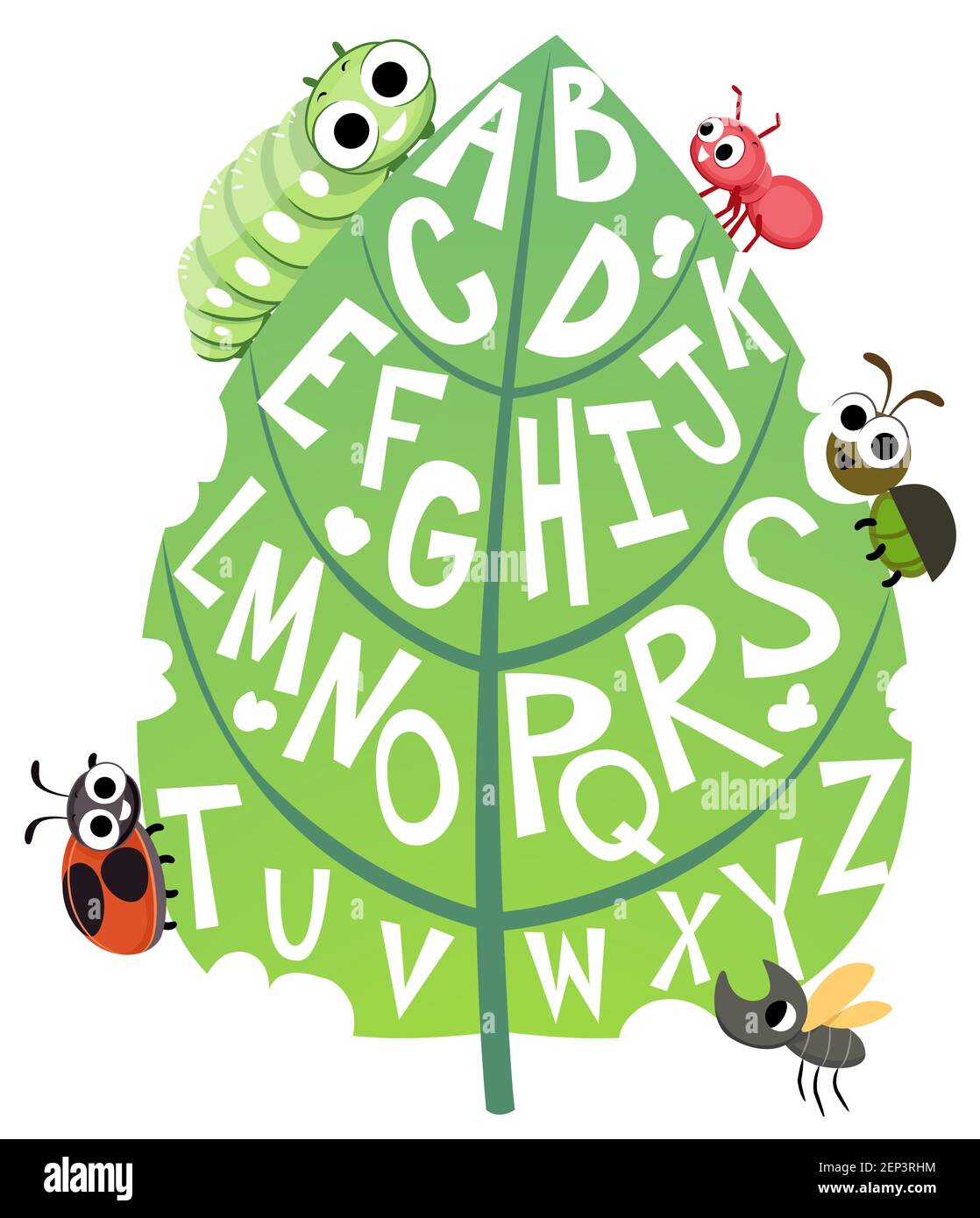 Illustration of Caterpillar, Ant, Beetle, Lady Bug on a Big Leaf with ...