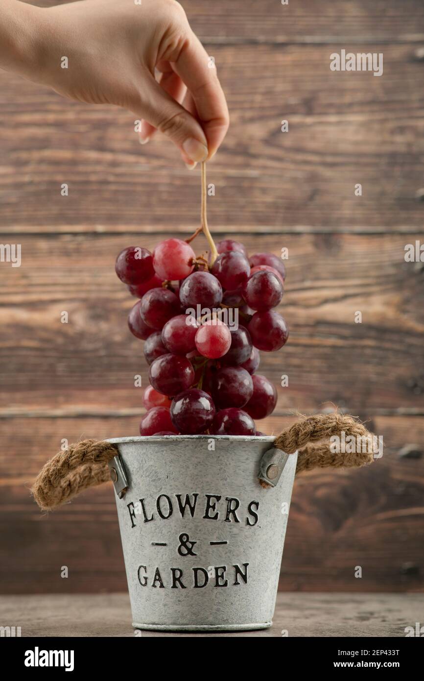 Female hand taking cluster hi-res stock photography and images - Alamy