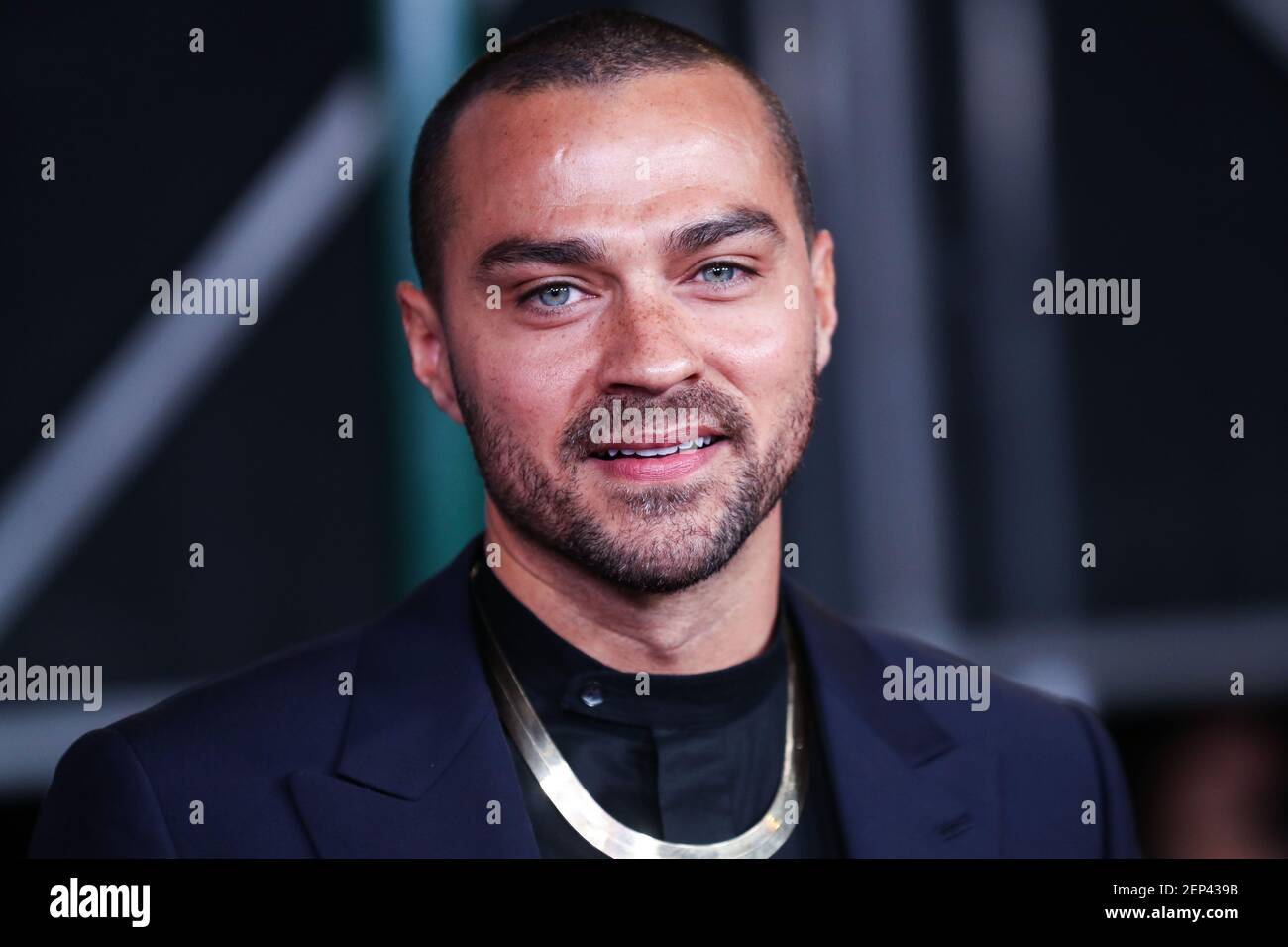 HOLLYWOOD, LOS ANGELES, CALIFORNIA, USA - OCTOBER 24: Actor Jesse ...