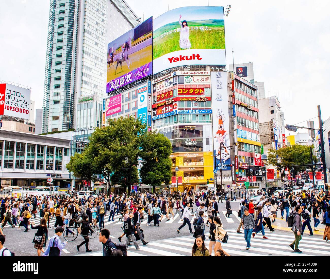 Shibuya Crossing the busiest intersection in the world in Tokyo, Japan ...