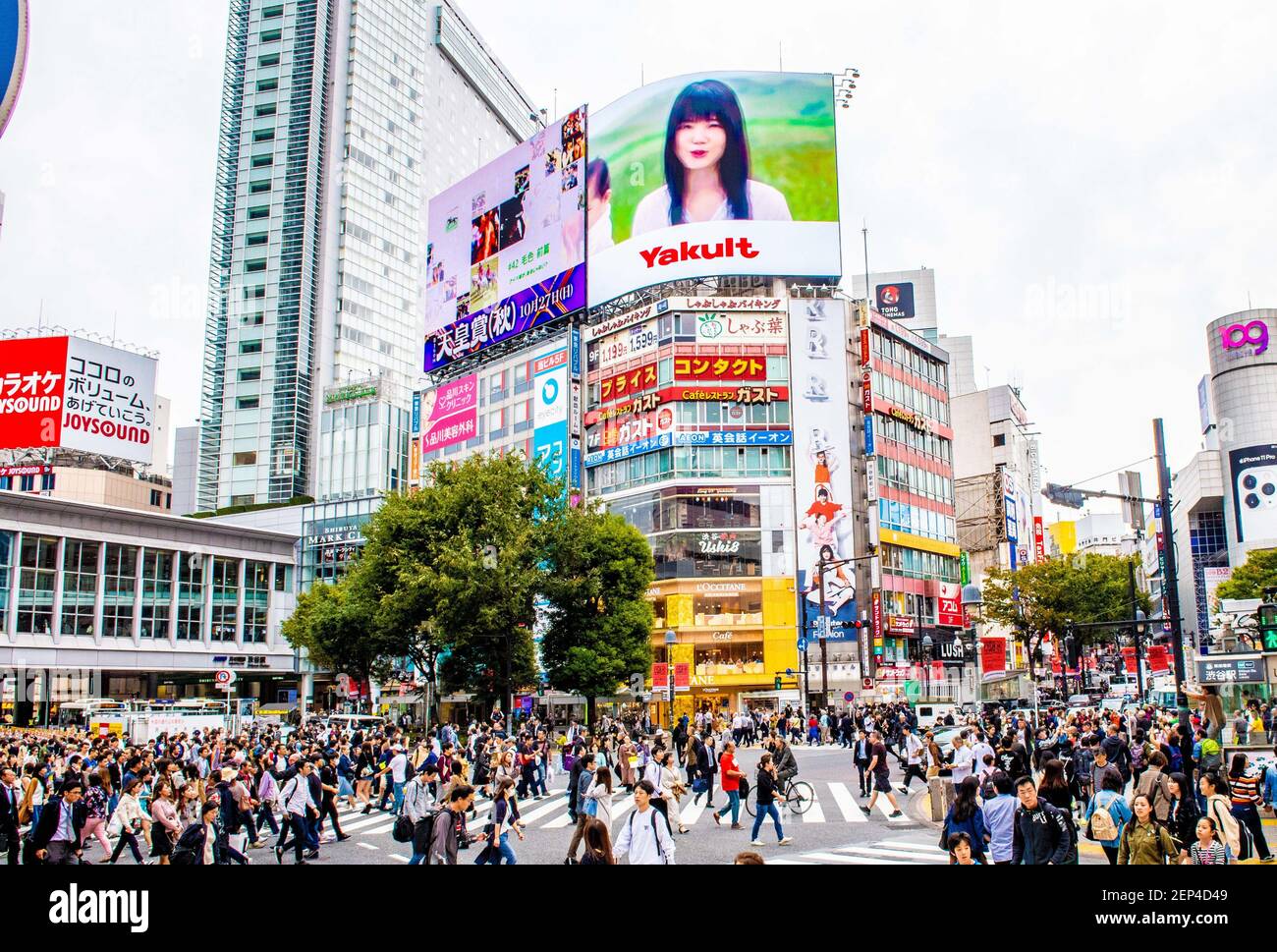 Shibuya Crossing the busiest intersection in the world in Tokyo, Japan ...