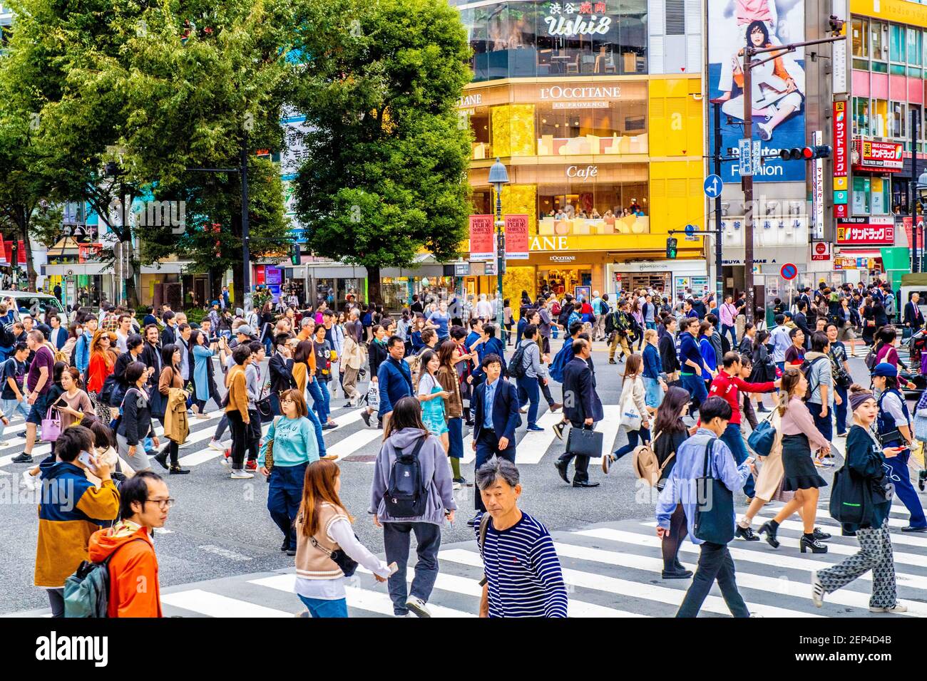 Shibuya Crossing the busiest intersection in the world in Tokyo, Japan ...