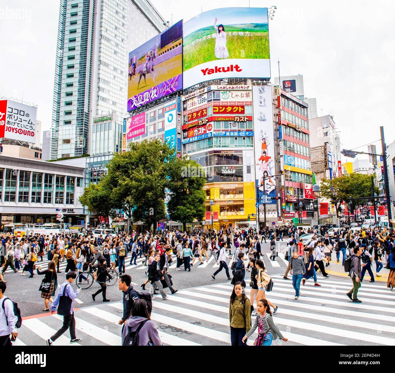 Shibuya Crossing the busiest intersection in the world in Tokyo, Japan. (Photo by DPPA/Sipa USA ...