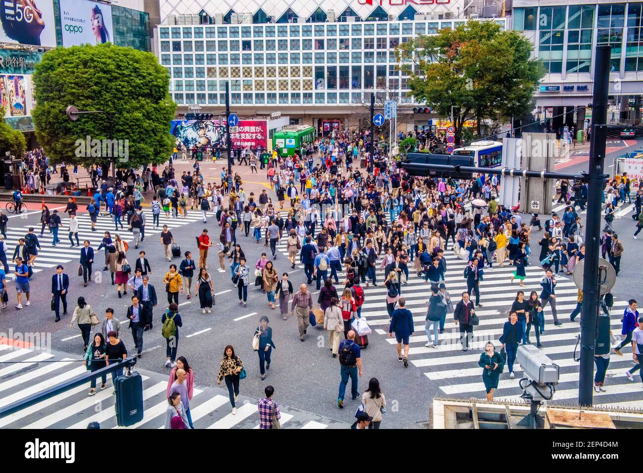 Shibuya Crossing the busiest intersection in the world in Tokyo, Japan ...