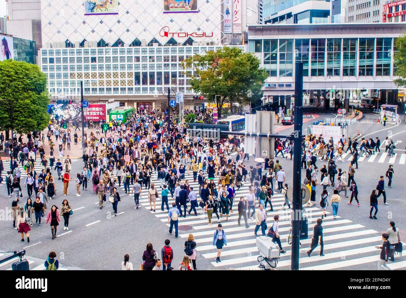 Shibuya Crossing the busiest intersection in the world in Tokyo, Japan ...