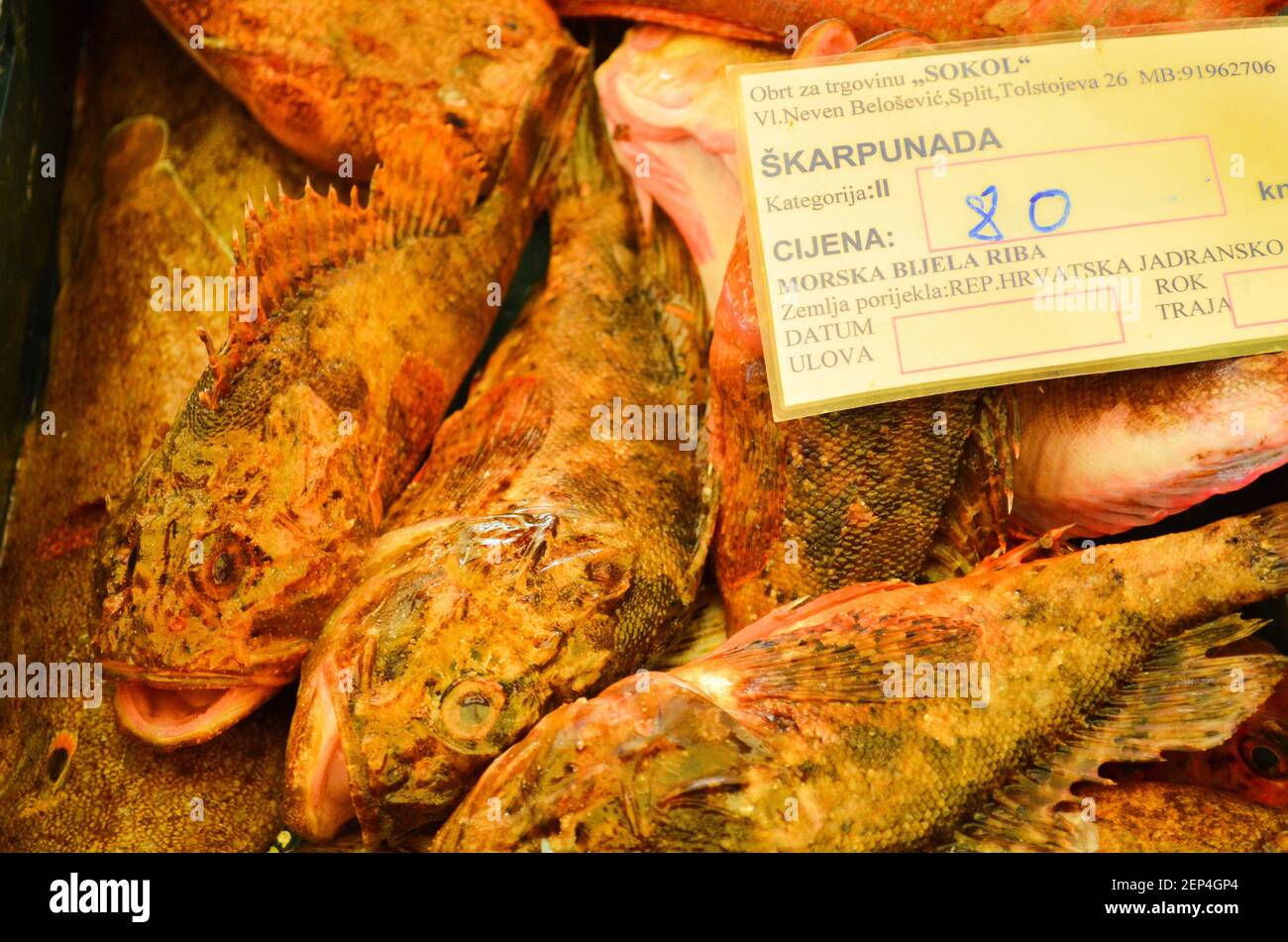 Grouper Fish for sale in outdoor market in the Dalmatian Island region ...