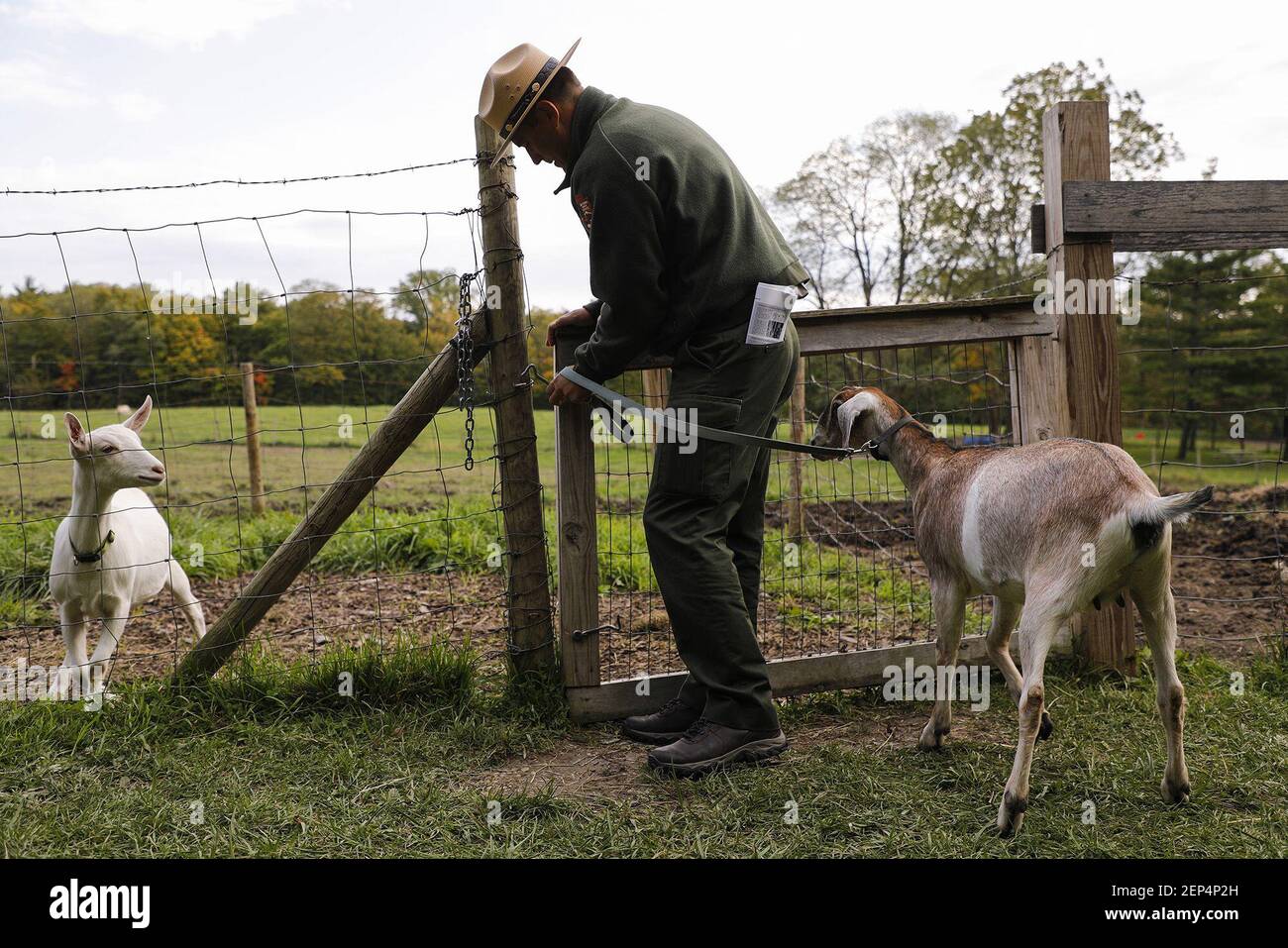 Park ranger Jim Whitenack takes Thelma, right, out for a walk as her ...